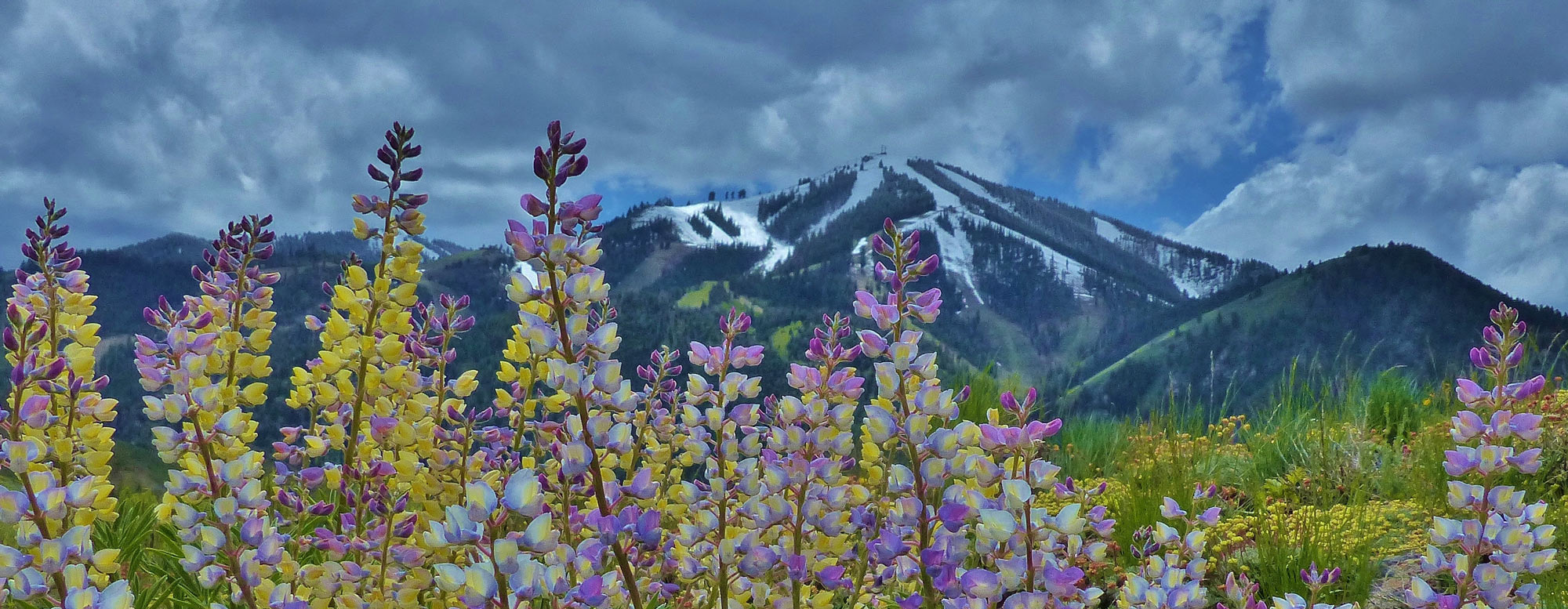 Discover the Wood River Valley - Valley Chamber